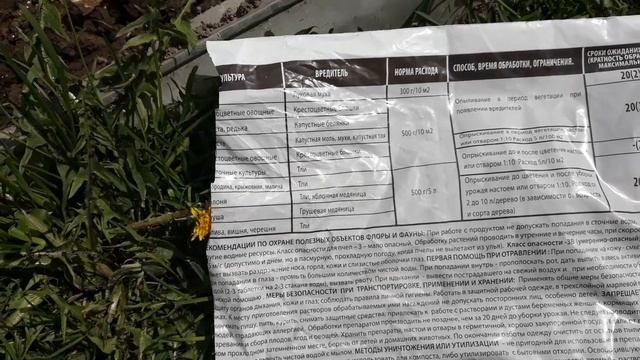 Первая подкормка клубники весной.