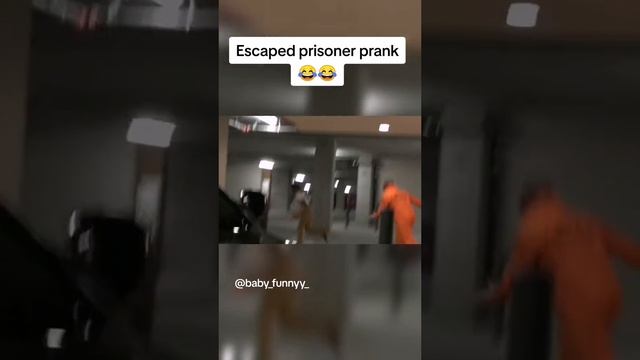 Забавные ролики 85