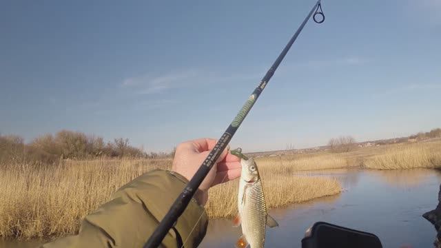 Экспресс-рыбалка на закате. Малая река в октябре.
