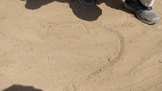 2017 АБК Автодор - НС перепланировка весовой