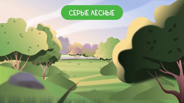 География производства органики в России