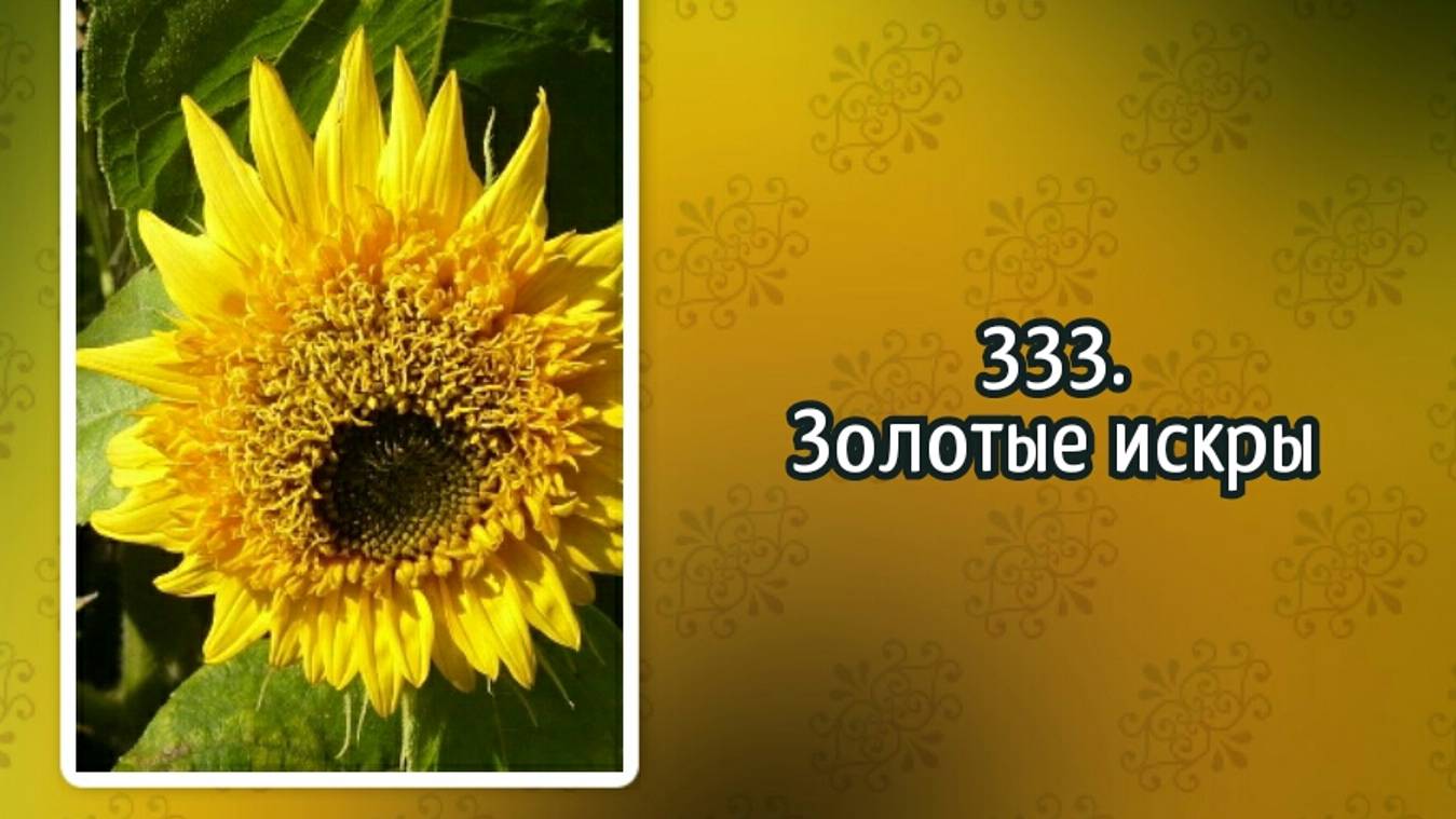 Гимны надежды 333 Золотые искры (-)