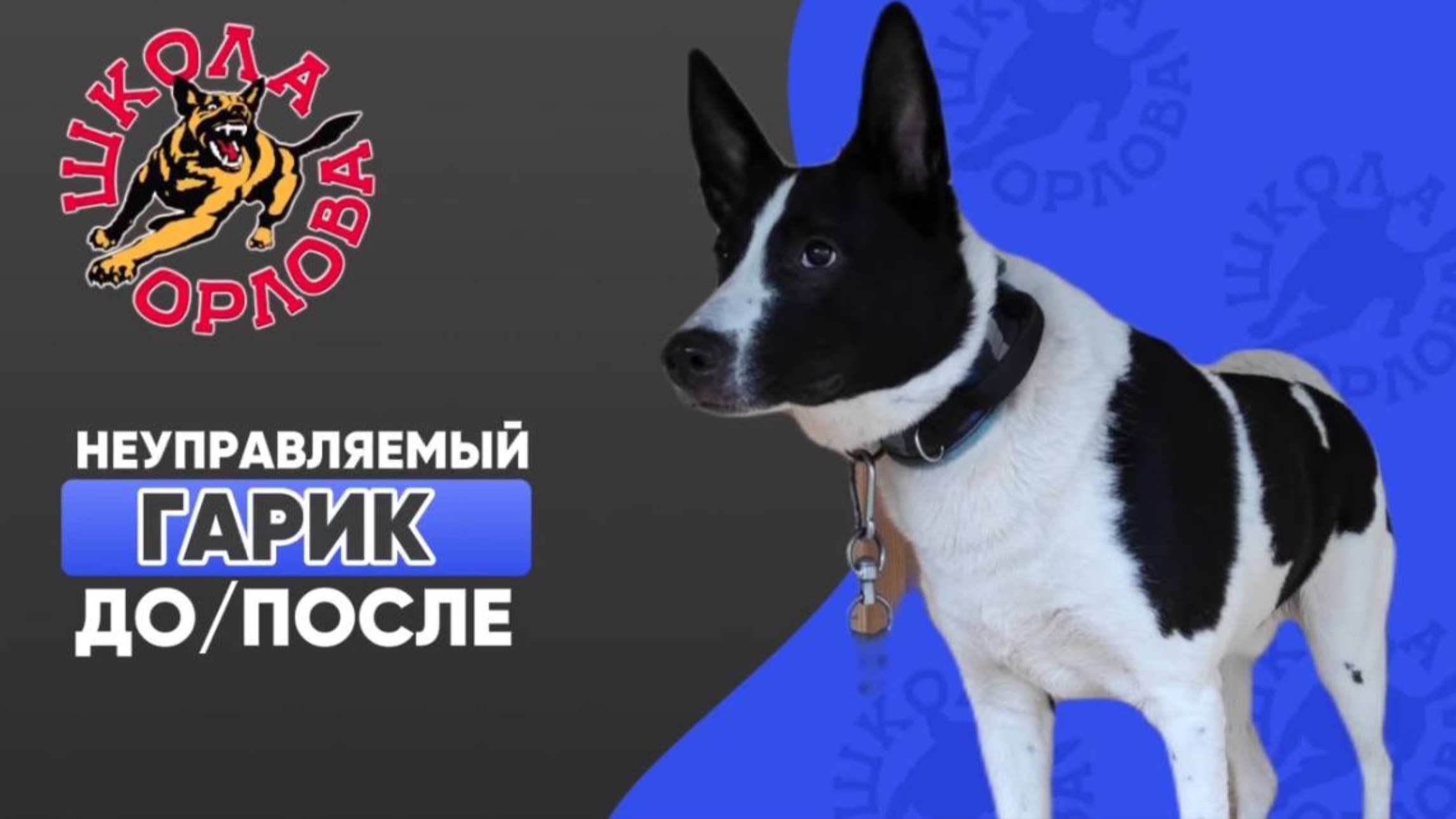 Возможно ли перевоспитать злостного хулигана?