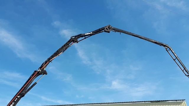 Купили кур, сделал выгул.