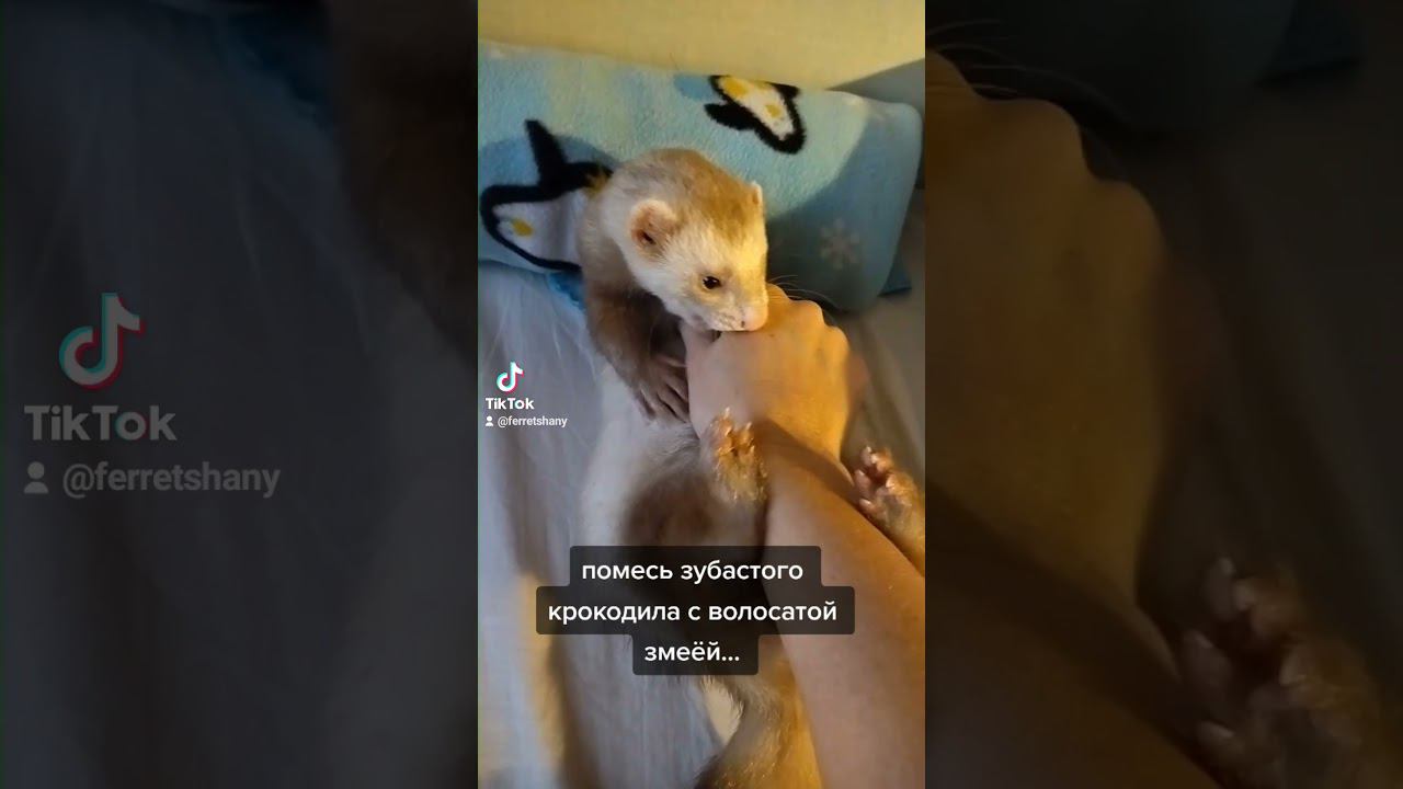 4 января 2022 г.