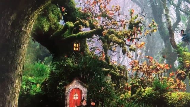 Техника Поход к Мудрецу