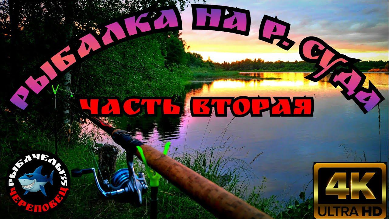 Рыбалка на фидер в 4К на р. Суда. Вторая часть!!!  Проверяем налимовки!!! Неожиданный улов)))