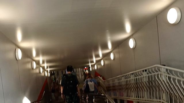 VID_20220804_164546.mp4