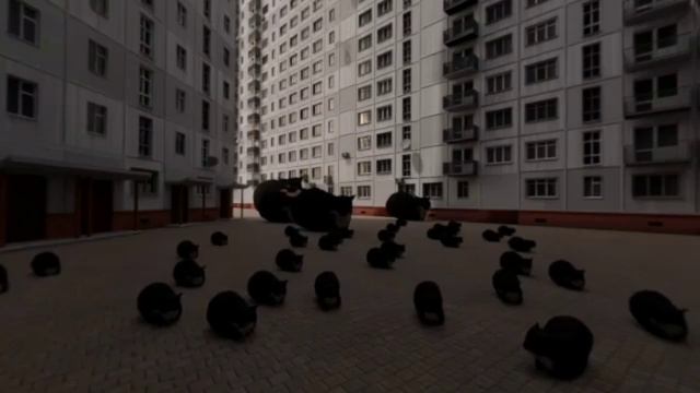 Кото апакалипсис 🤯🤯🤯