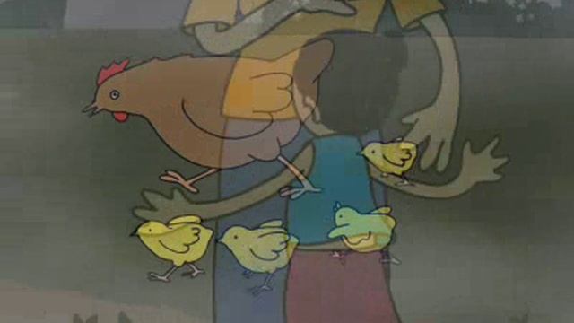 Мультфильм о обращению с  СХ птицами