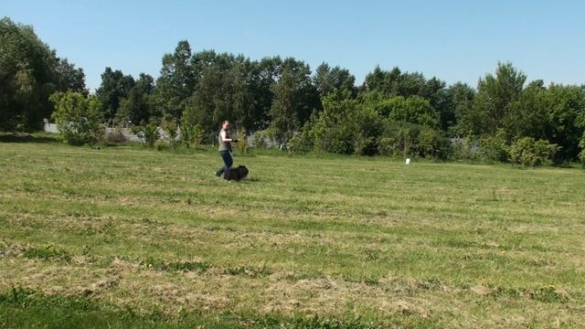 Захватывающие диски Оксана и Юстас.mp4