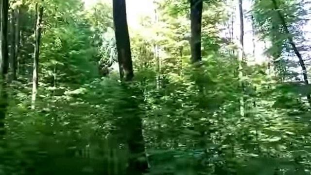 Как вернуть порчу, сглаз обратно врагу