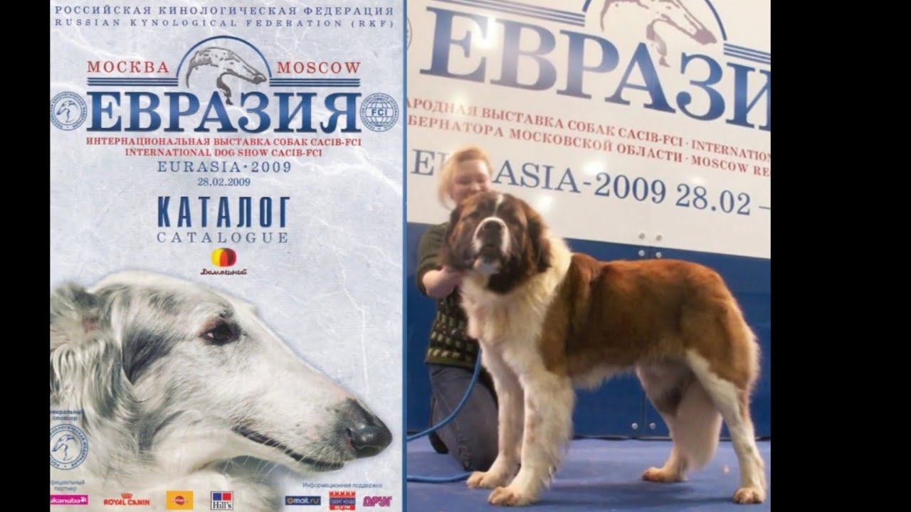 Евразия 2009 московские сторожевые