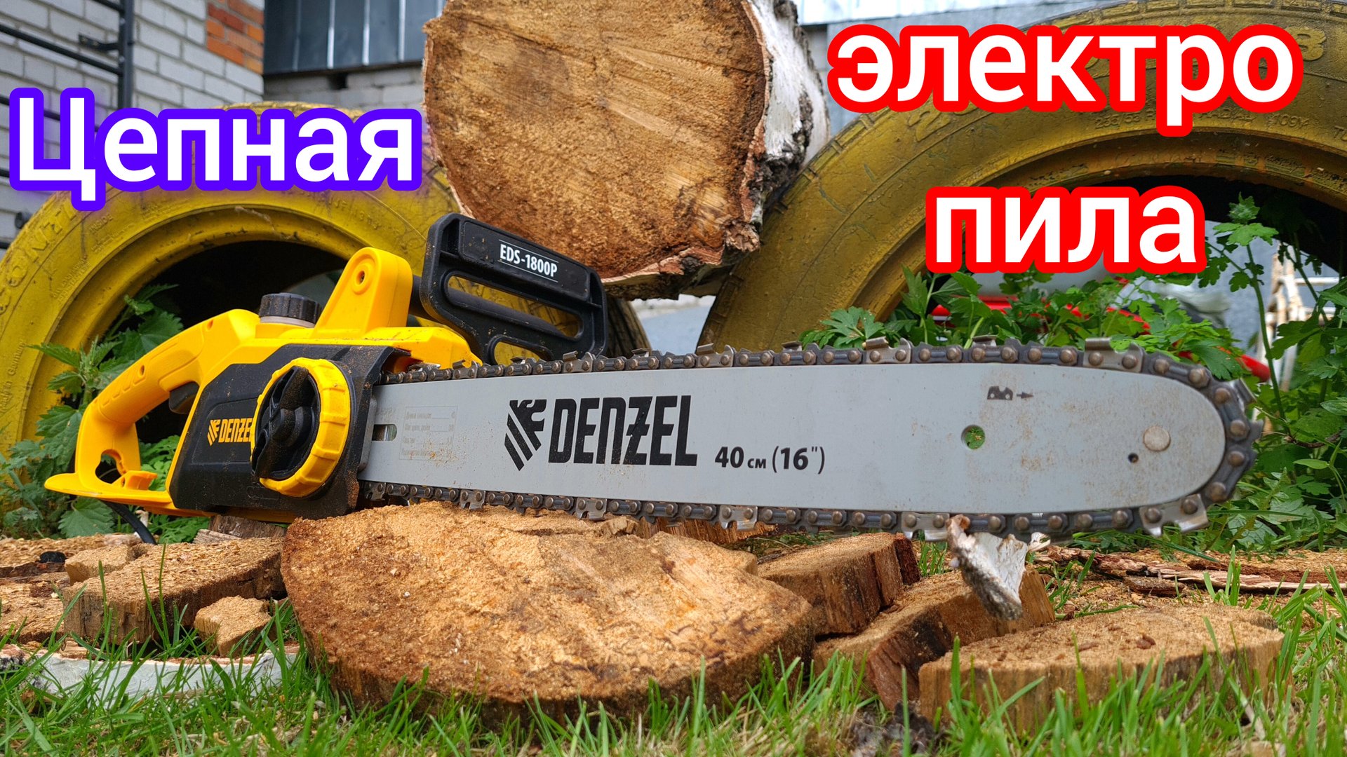 Помощник в частном доме, саду и огороде | DENZEL EDS-1800P