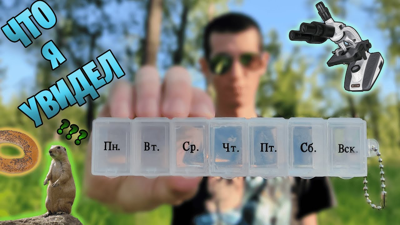 Путешествие за образцами | Красноярск | Что можно увидеть в воде городского озера, под микроскопом?