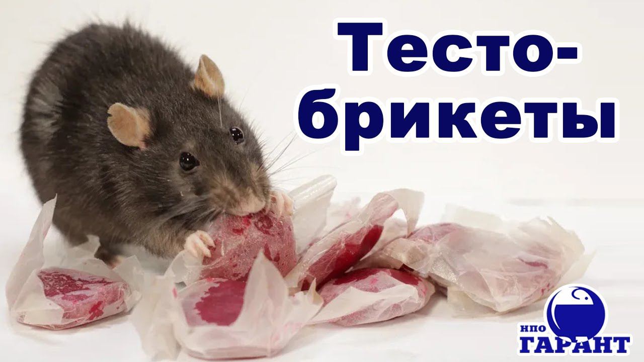 Мягкие брикеты от грызунов. Тесто - брикеты. Рекомендовано в борьбе с крысами.