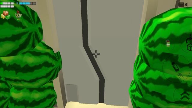 дом из арбузов