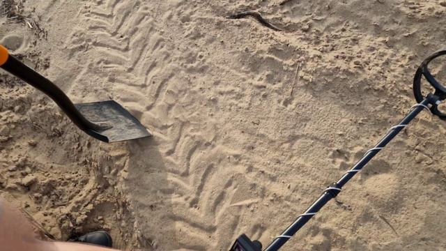 нашли кольцо с металлоискателем PANDA-M1