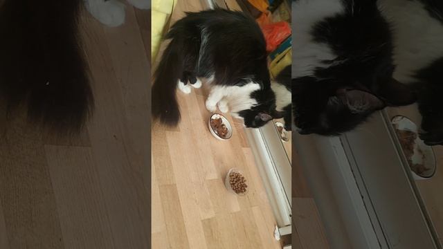 Как прошёл этот солнечный замечательный день.