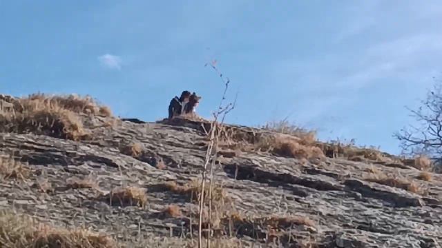 Пятигорск 26 ноября 2023