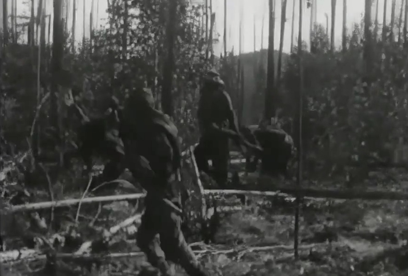 Тунгусский метеорит. В поисках Тунгусского метеорита