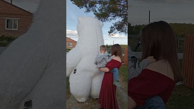 Аэромедведь Умка.