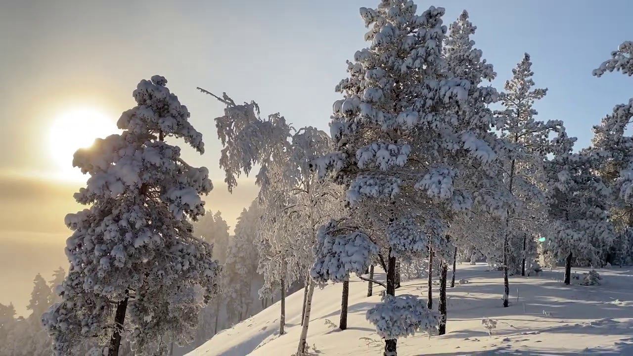 Не забывай о своей природе. Кулан хаан из морозной Якутии