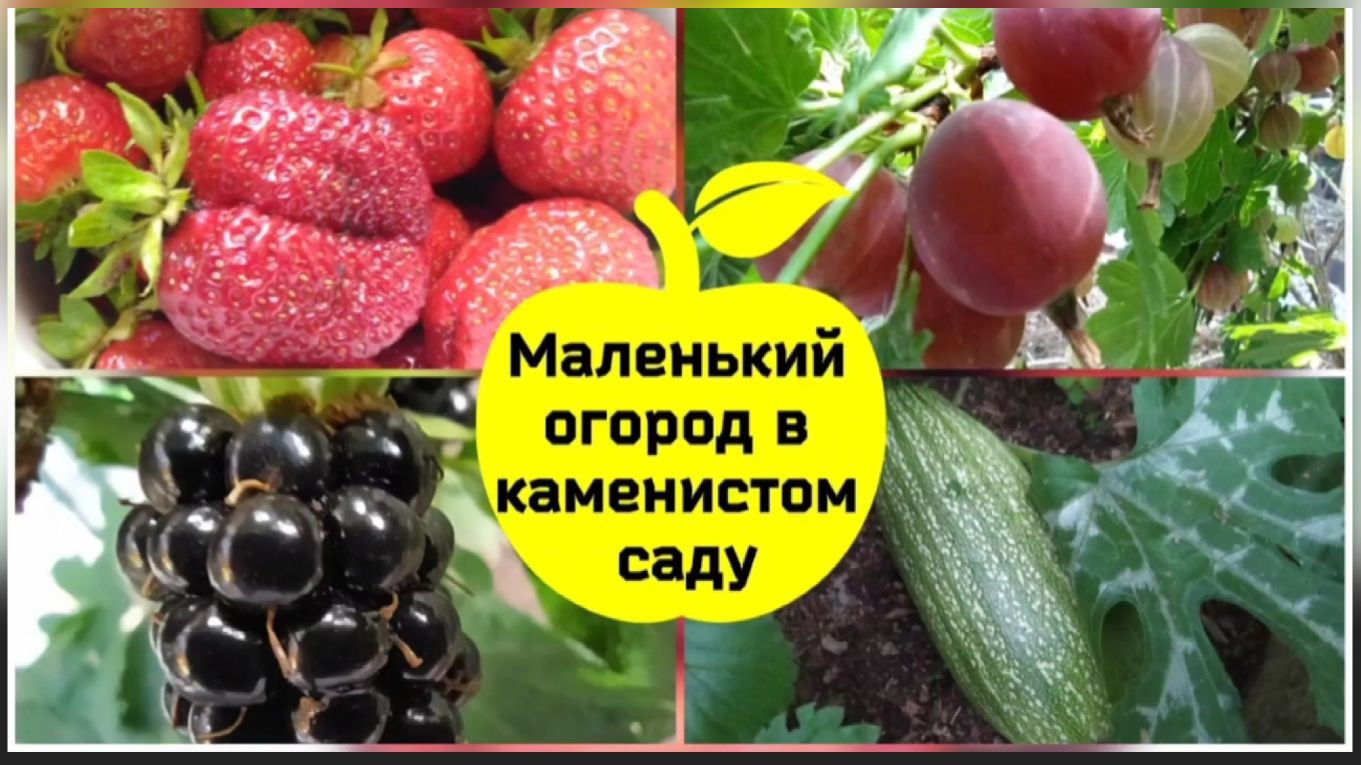 Маленький огород в каменистом саду.