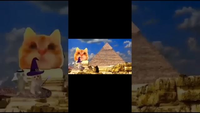 Друзья Banana cat летают на ковре