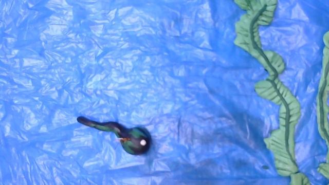 Зелёное чудо. Метаморфоз