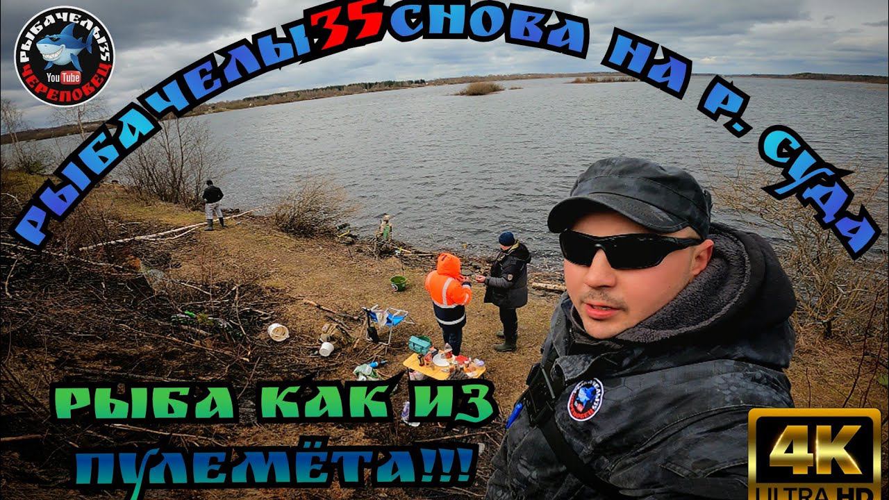 АААГОНЬ рыбалка на фидер на р.Суда в "4к"Сорога и Синец ломают фидера!!!3-я Рыбалочка в мае 2022г.