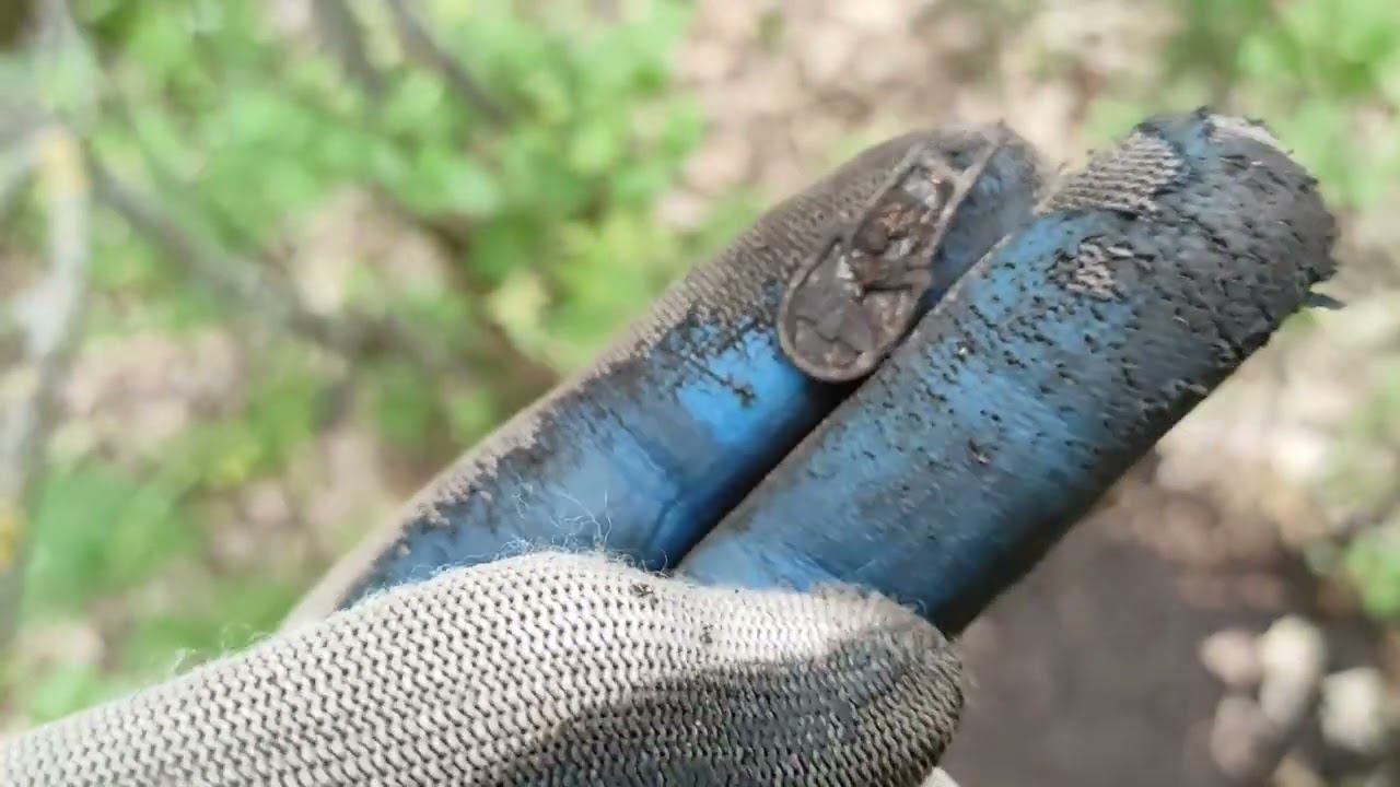 Старобельский лес коп копыч 26.04.2024