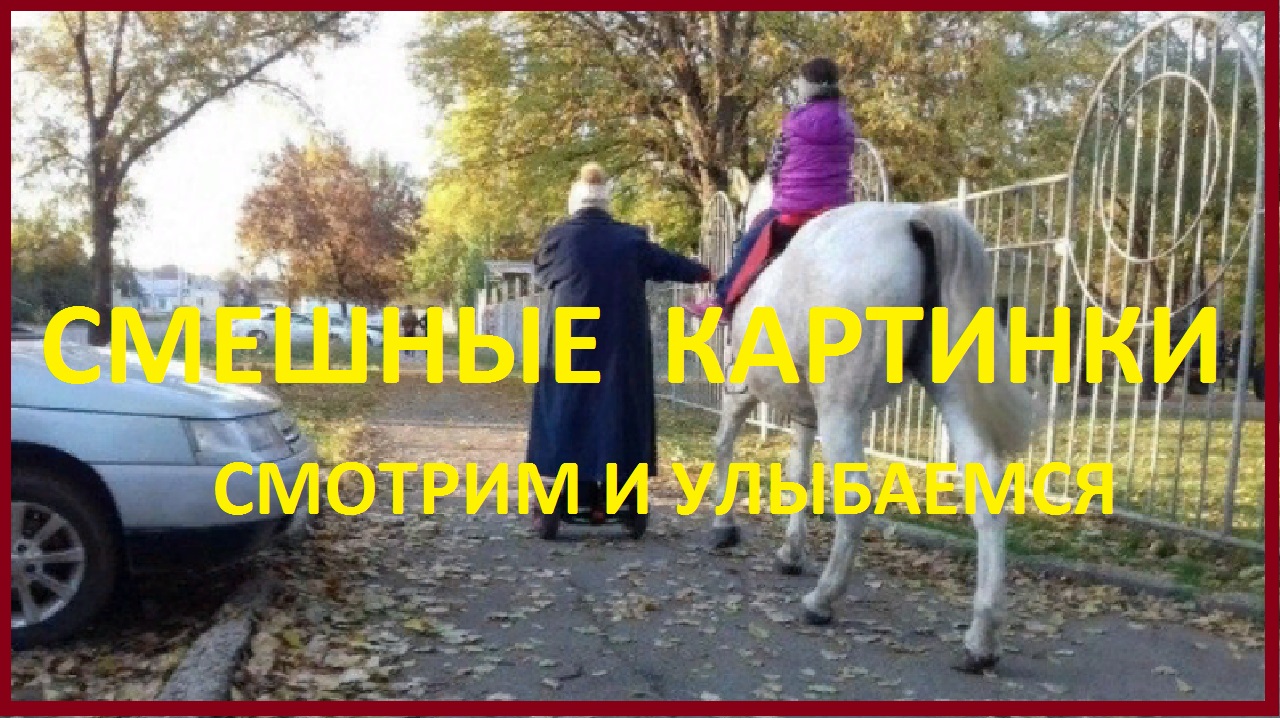 Смешные картинки