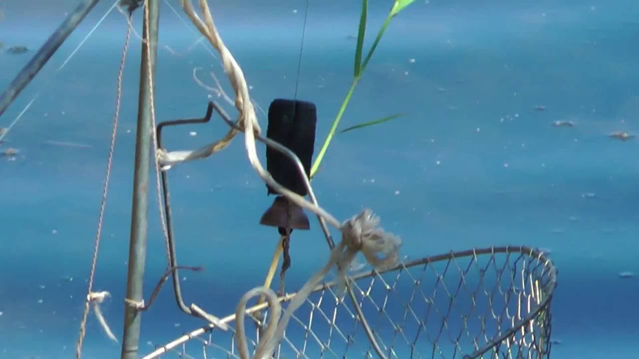 Прикол)) Решил проверить видеокамеру на рыбалке)))