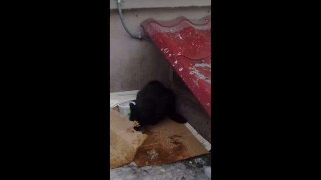 "Ем и славно" ???