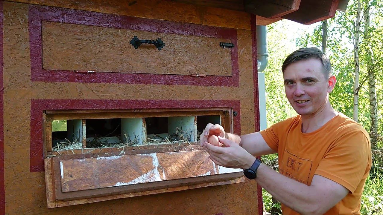 Мой первый курятник на 15-20 кур.