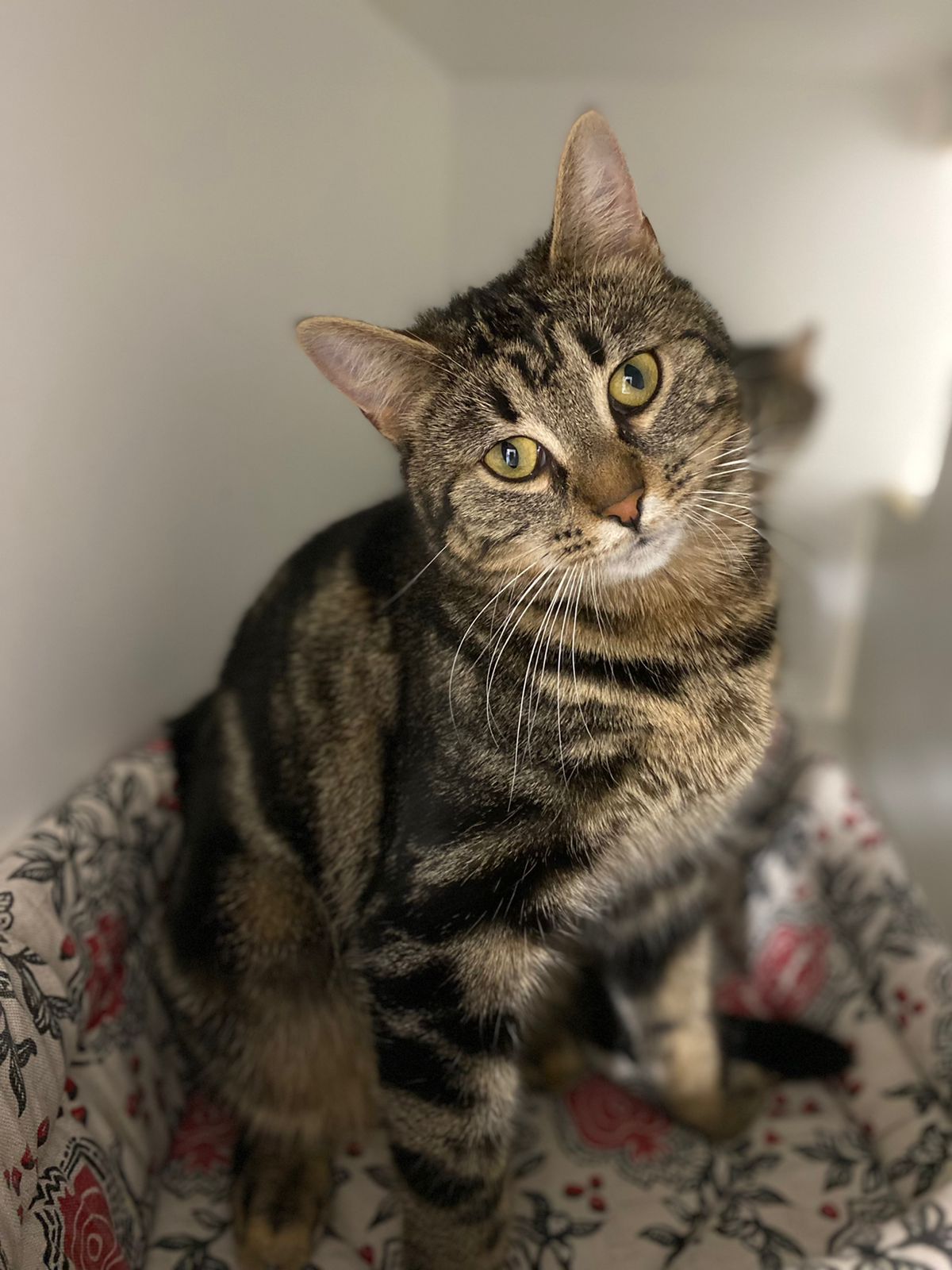 Дорога домой. МАРБЕЛЬКА
#дорога-домой