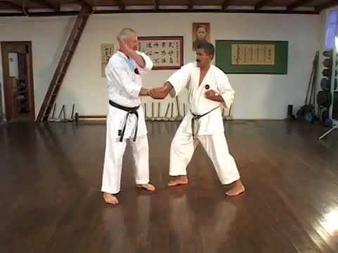 Sensei Bakkies Laubscher. DVDVol5promo