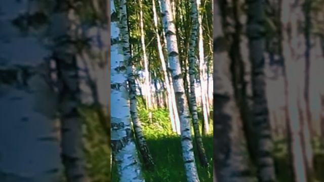 Соловей поет