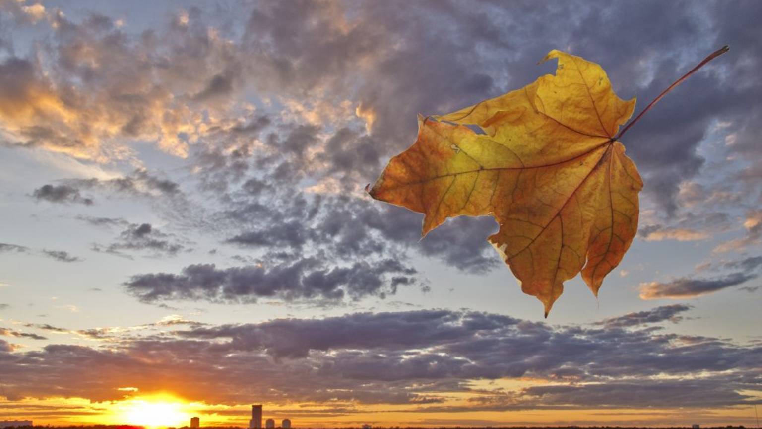 Иосиф Бродский: "ПОСВЯЩЕНИЕ ГЛЕБУ ГОРБОВСКОМУ". Читает — Елена Артёменко Запись: 2017 год.