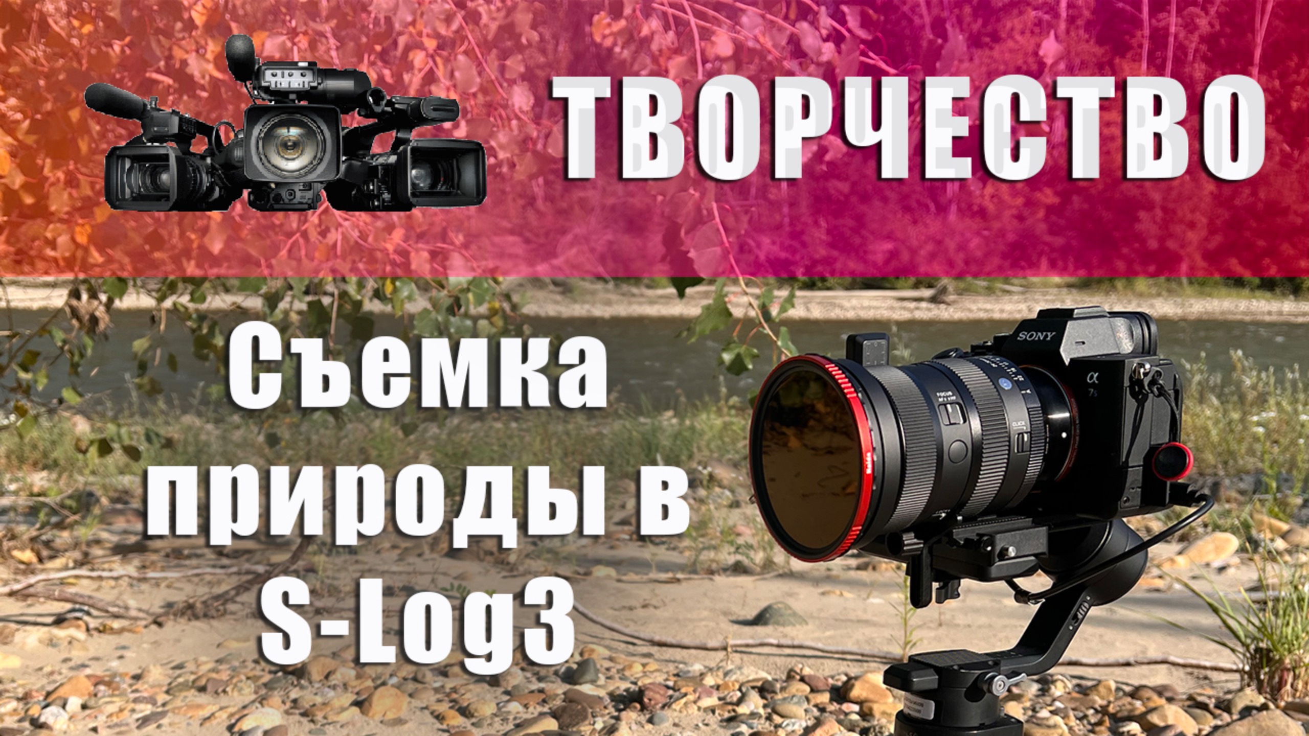 Съемка природы в S-Log3 | Sony A7S iii + Sigma f2.8 24-70 Art