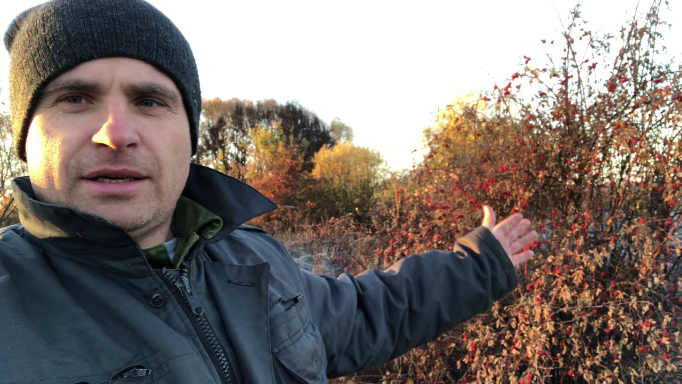 Кладоискатели, копатели, поисковики, любители приборного поиска, камрады! #закапывайямки