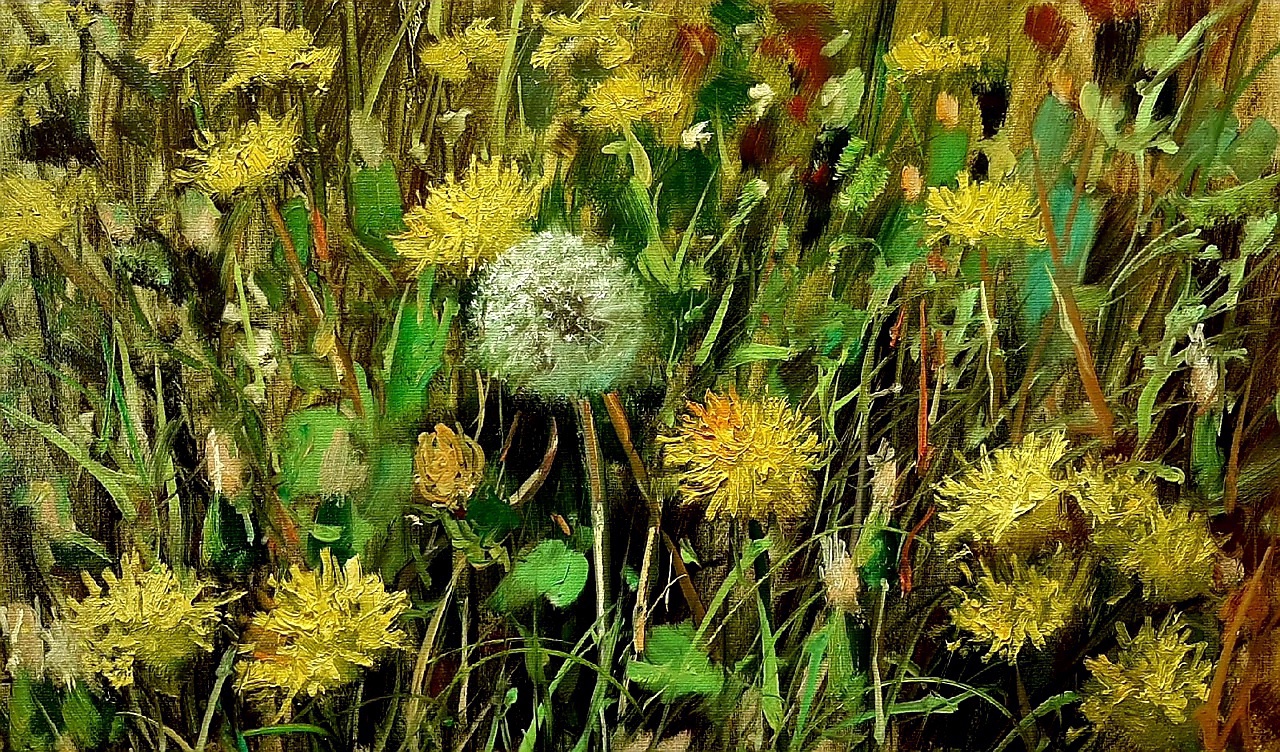 Одуванчики