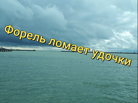Туапсе 30.01.2022 набережная: форель ломает удочки.