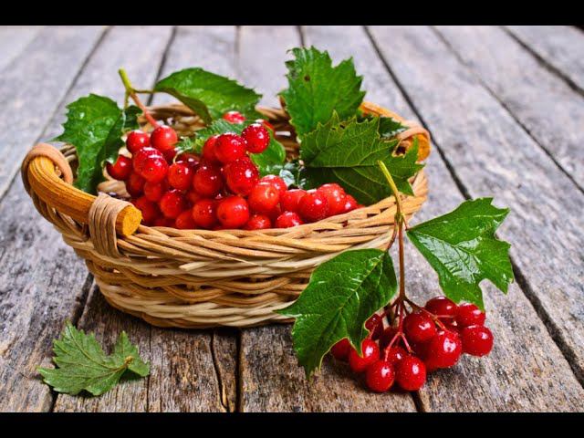 "Галина(ст. и муз.Елены Василёк)