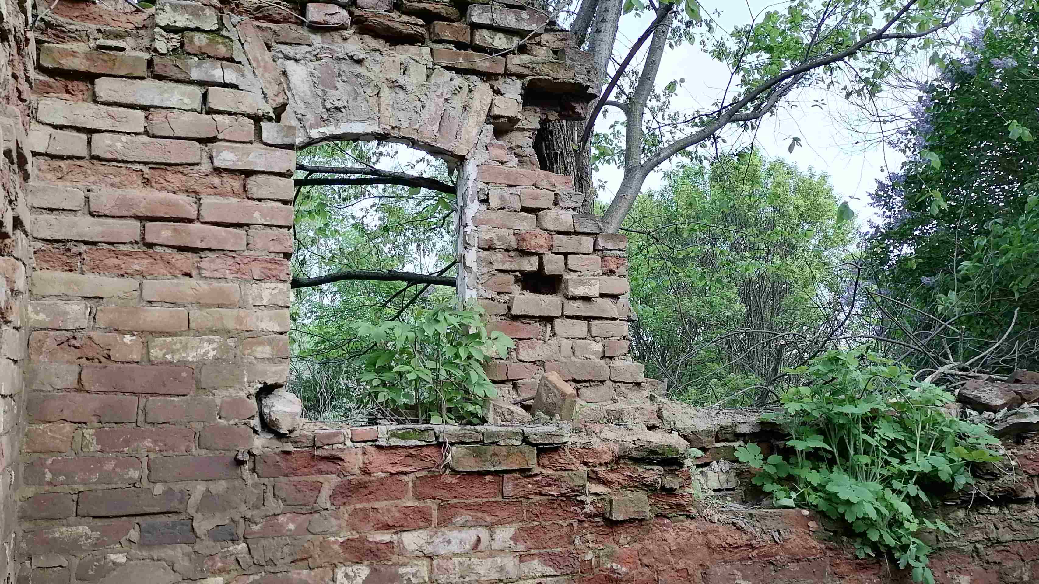 ШУРФ( и снова серебро).