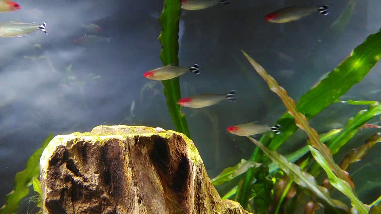 Футаж для видео монтажа  Аква 05