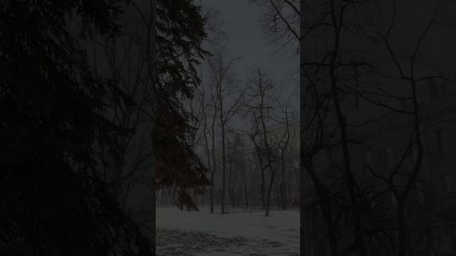 Голосуем за жизнь