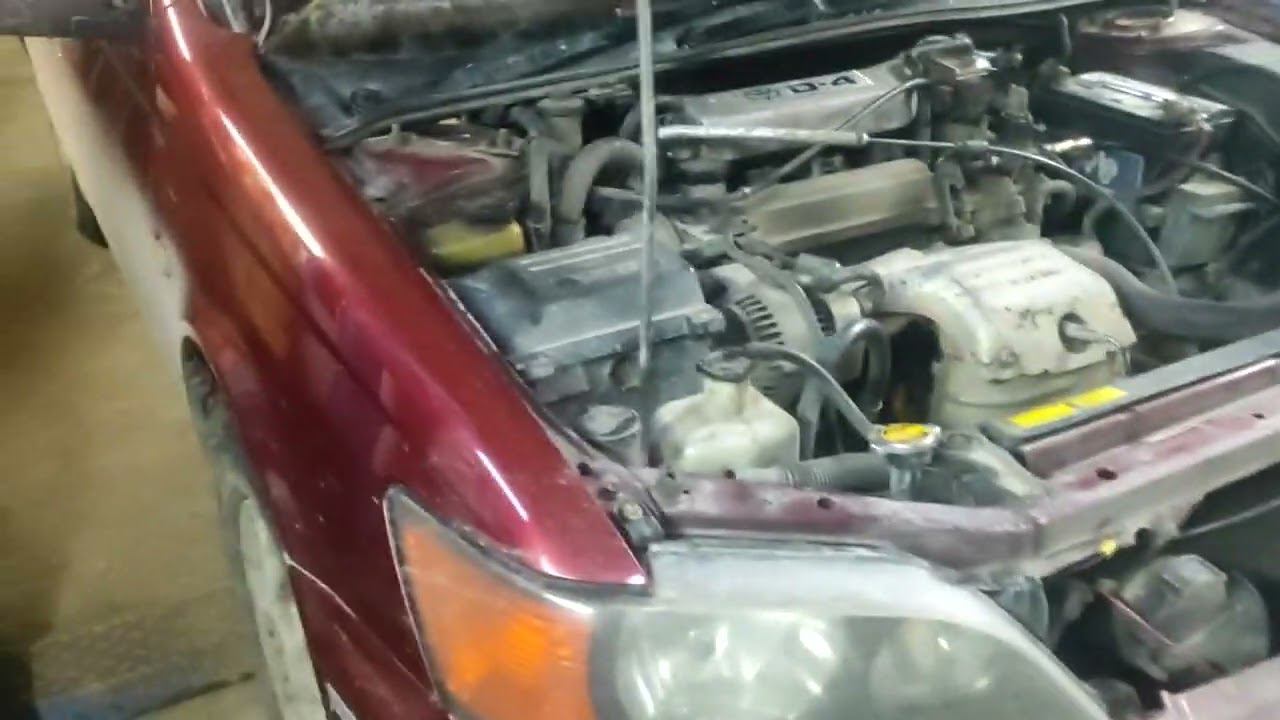 D 4 ПОПАДОС НА ПОЛТОС