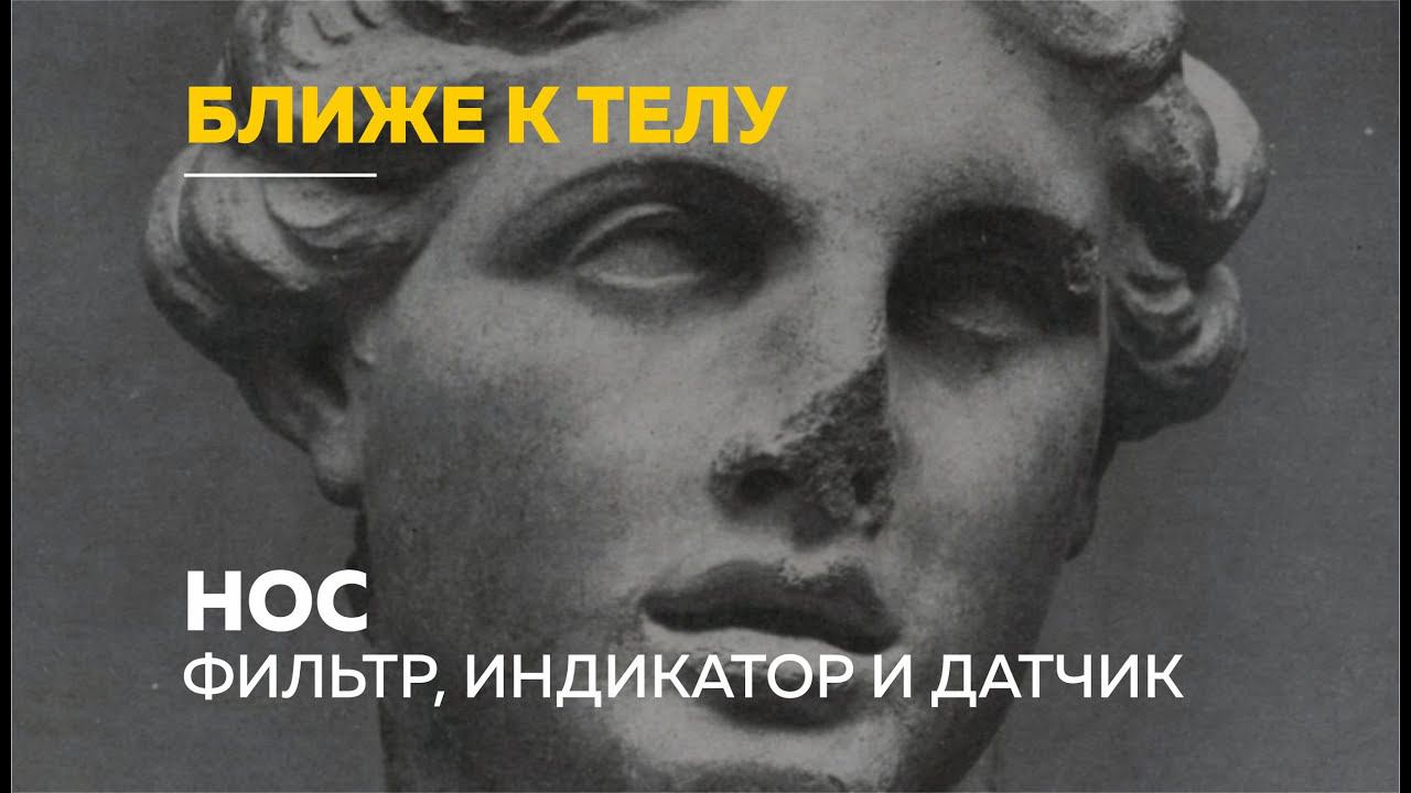 «Ближе к телу»: тайны носа